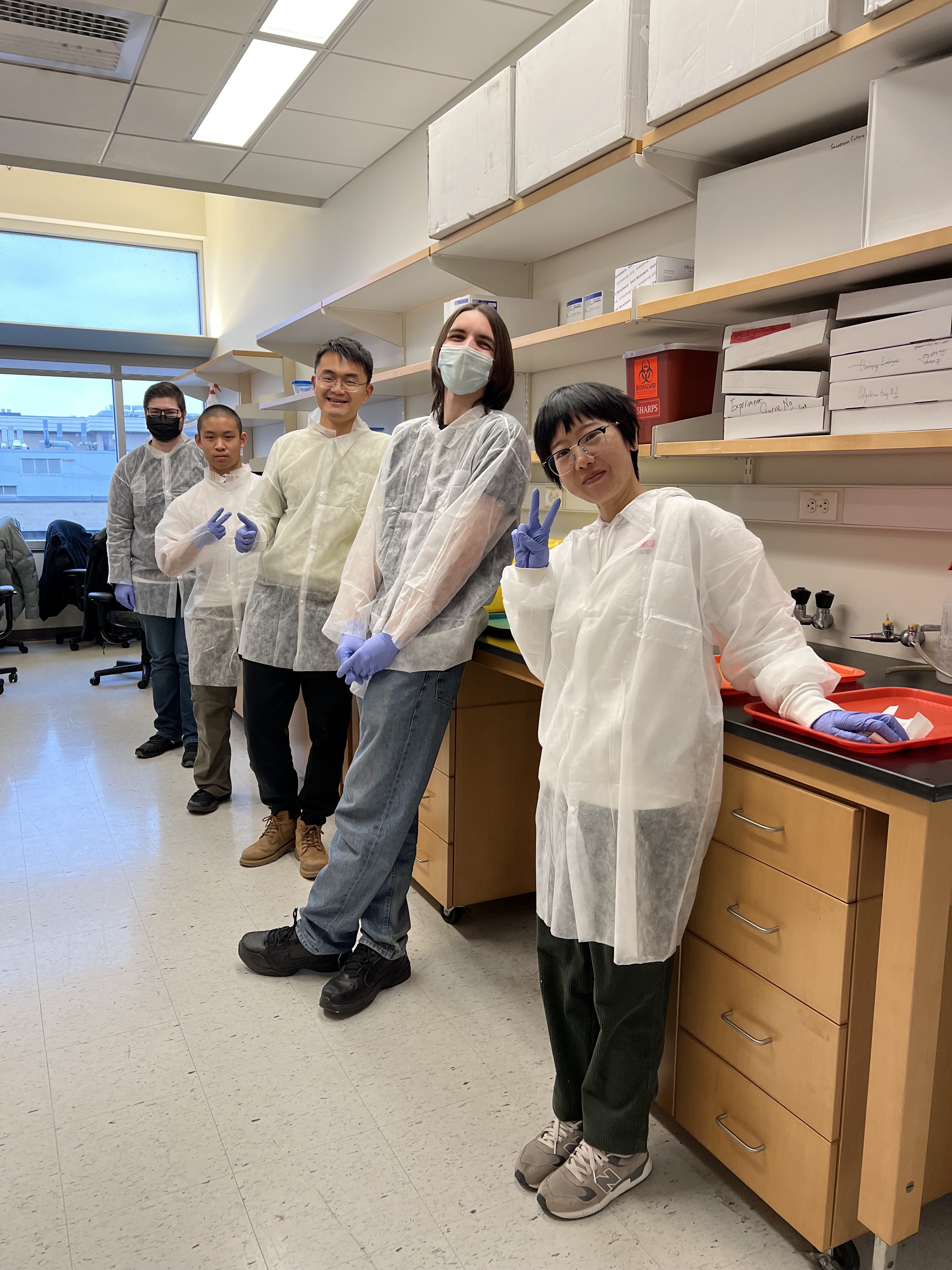 Gallery – Lab of Aging, Regeneration, and Rejuvenation